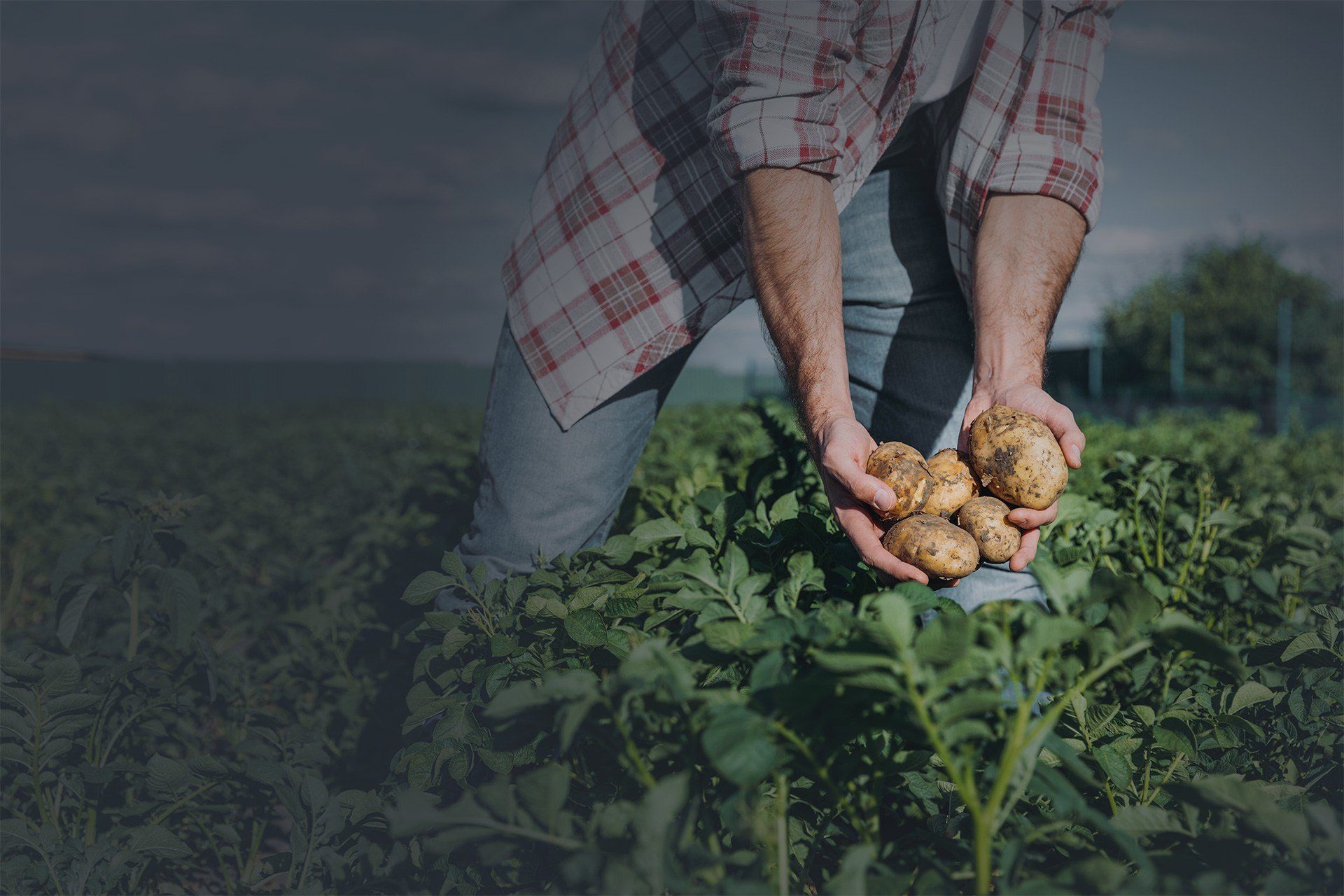 Family Farm Tax Prep